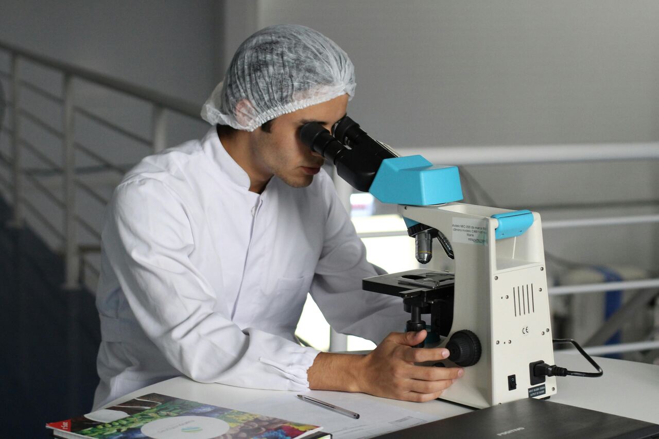 Microscopia eletrônica de varredura: como funciona?